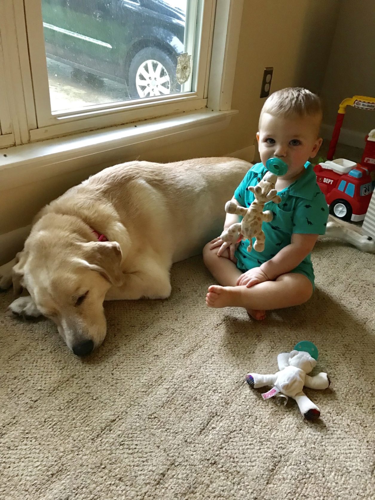 Mav @ 15 Months - thisaveragemom