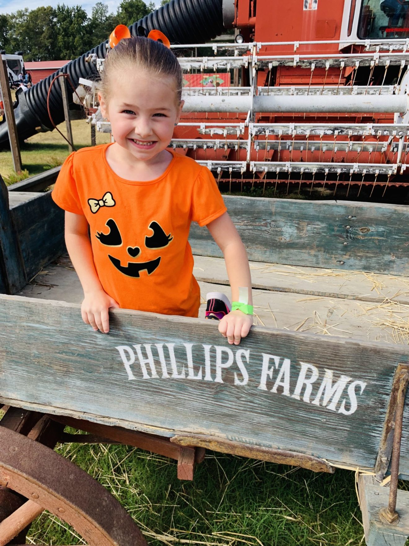 Fall Family Fun at Philips Farms - thisaveragemom
